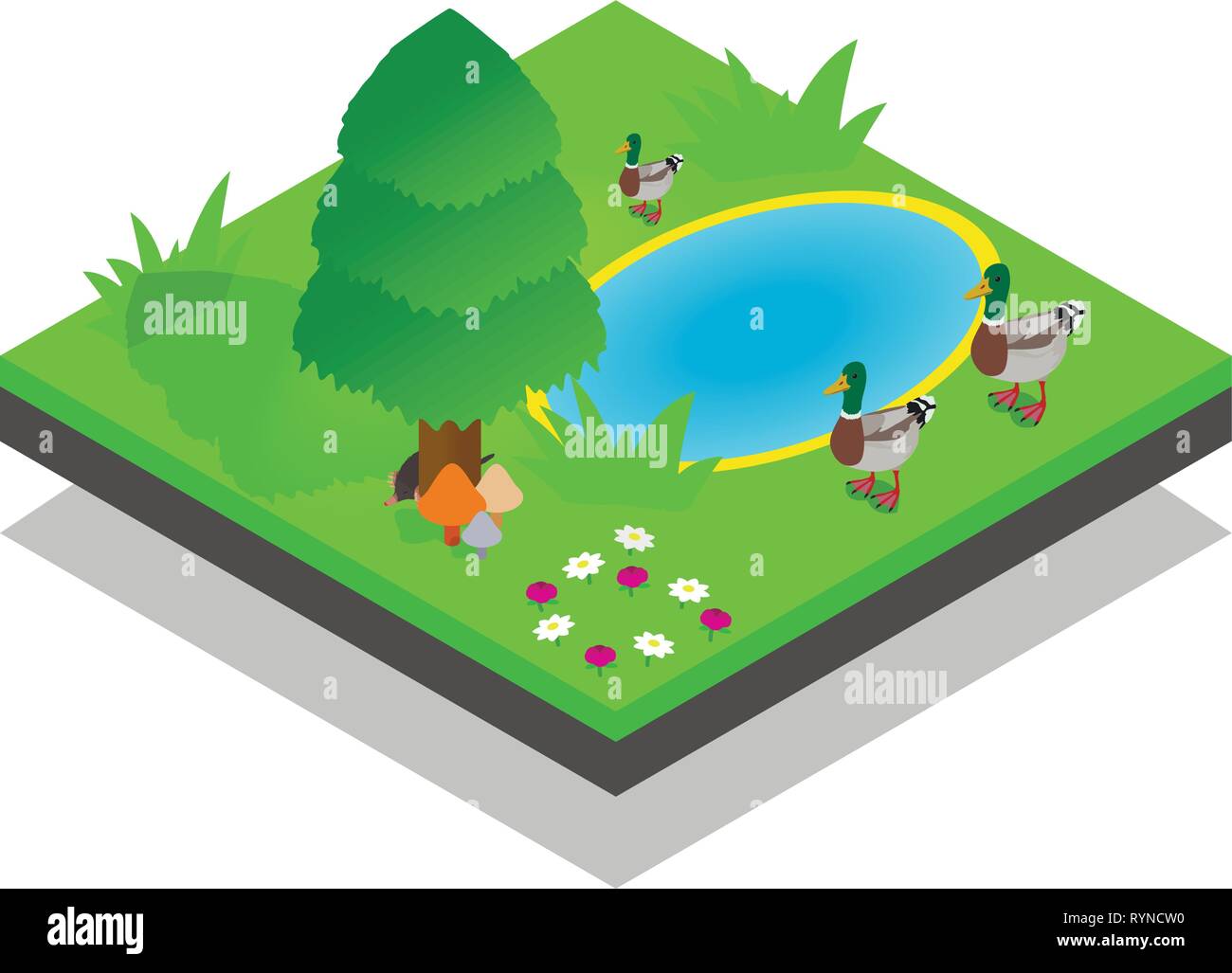 Pond concept banner, isometric style Stock Vector Image & Art - Alamy