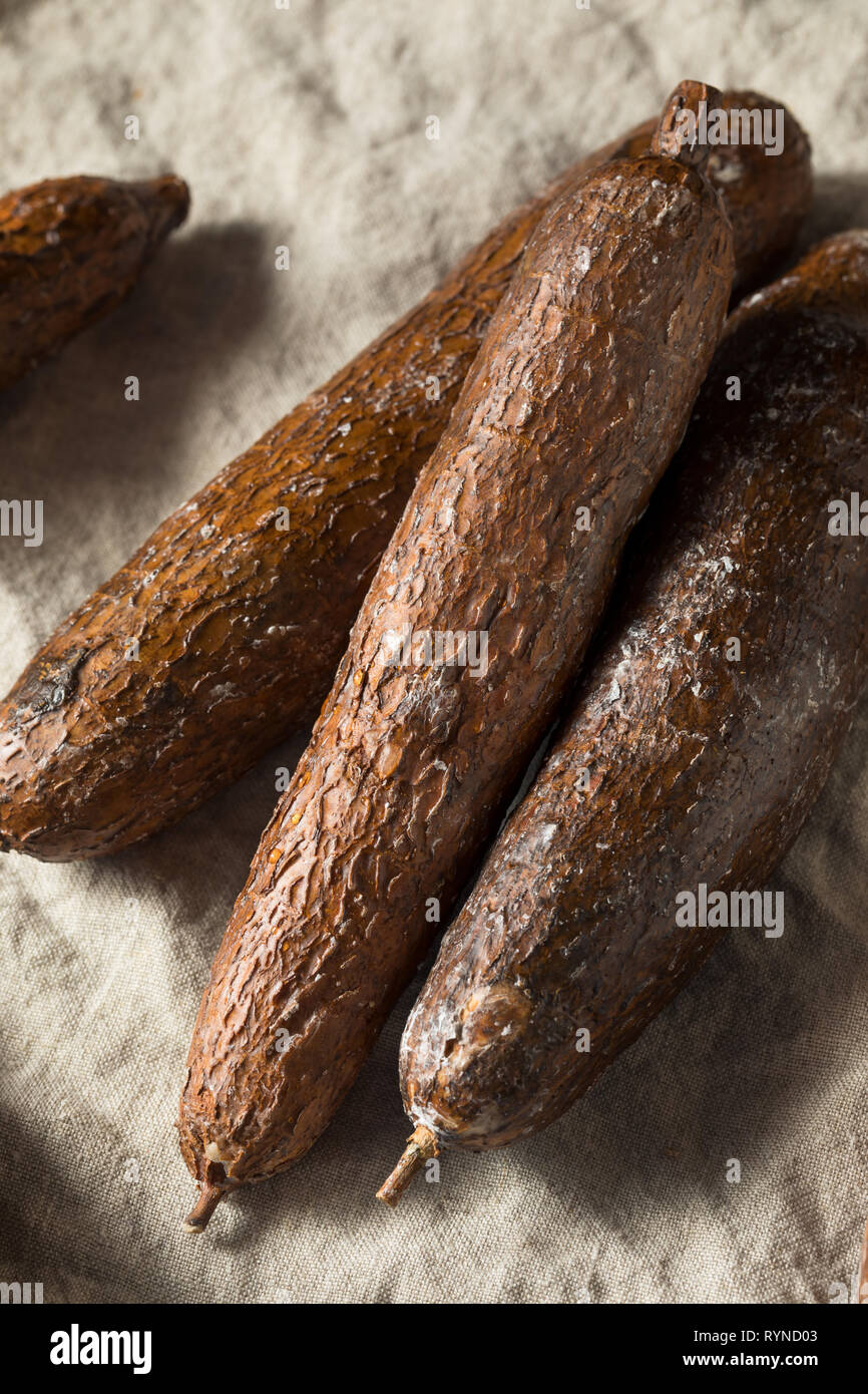 Yucca root hi-res stock photography and images - Alamy