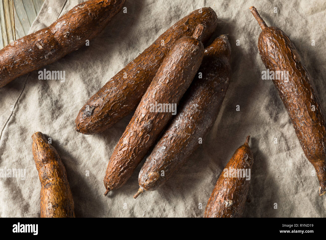 Raw Brown Organic Yucca Root Ready to Use Stock Photo - Alamy