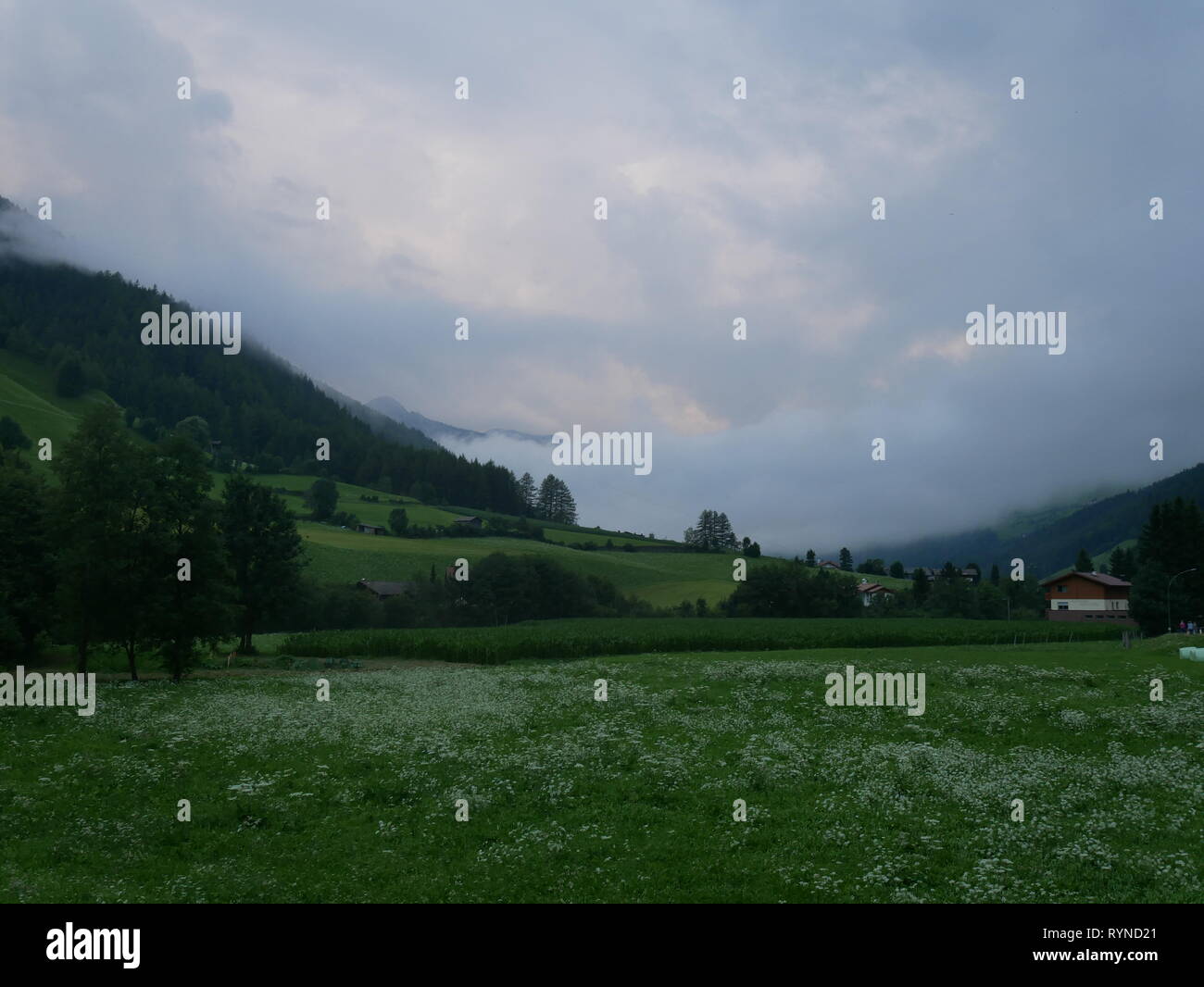 Alpine meadows, northern europe hi-res stock photography and images - Alamy