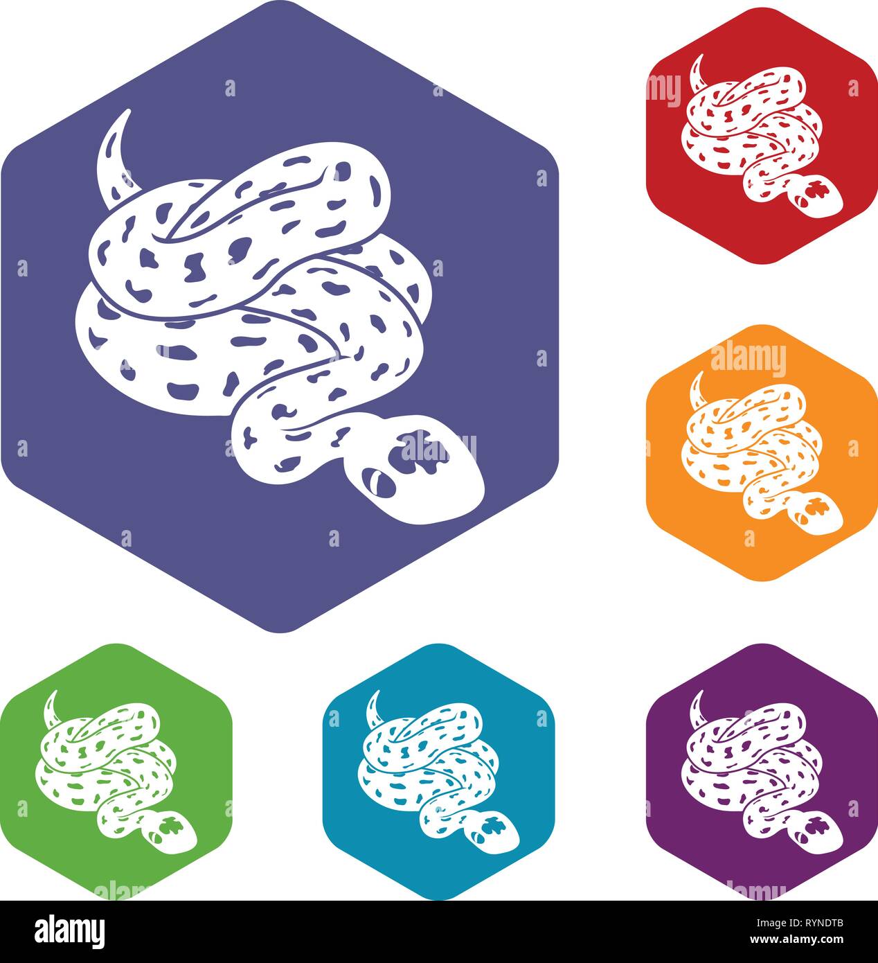 Anaconda snake icons vector hexahedron Stock Vector Image & Art - Alamy