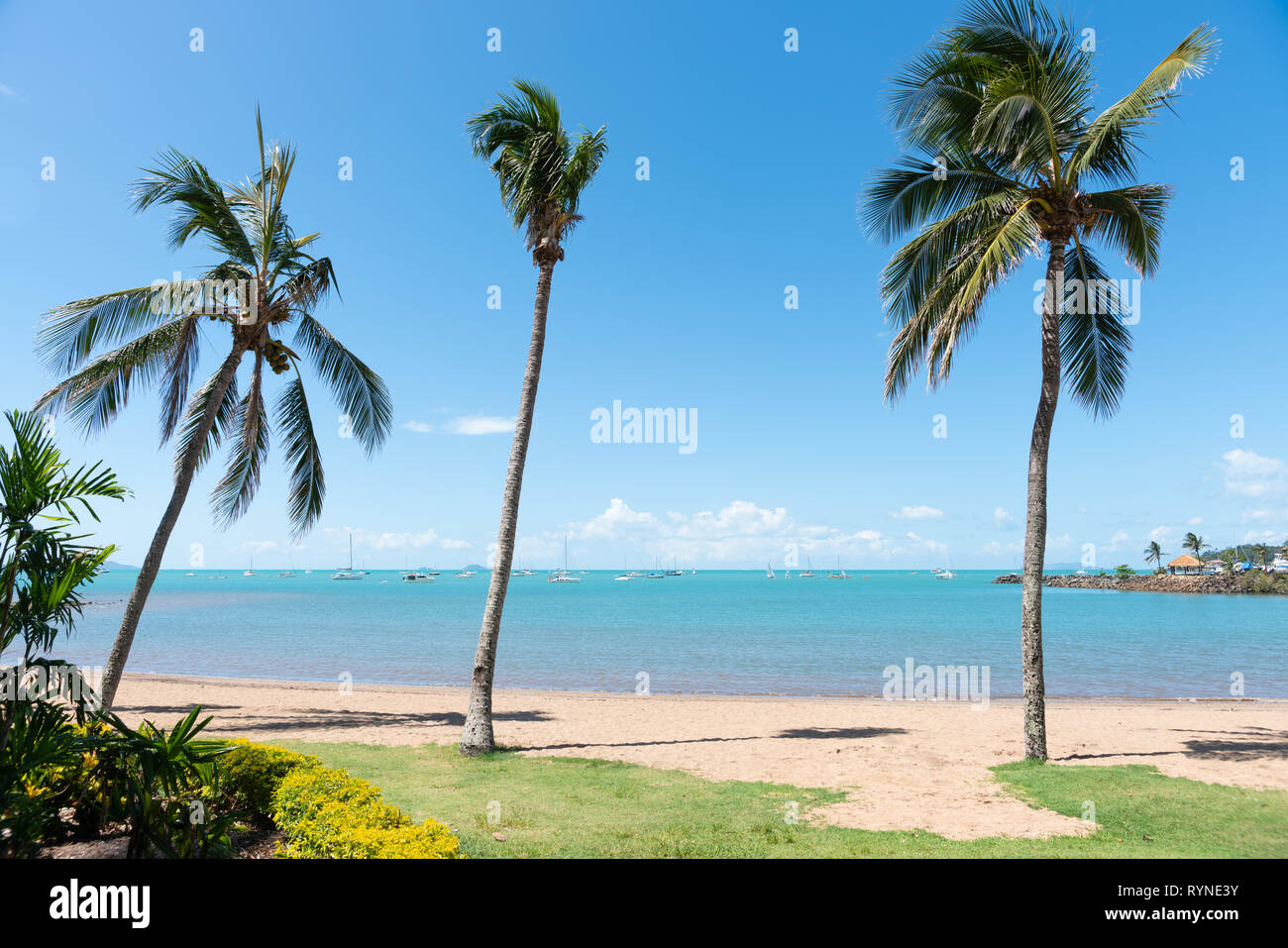 Tropical Airlie Beach, Australia, with blue skies, blue water and palm ...