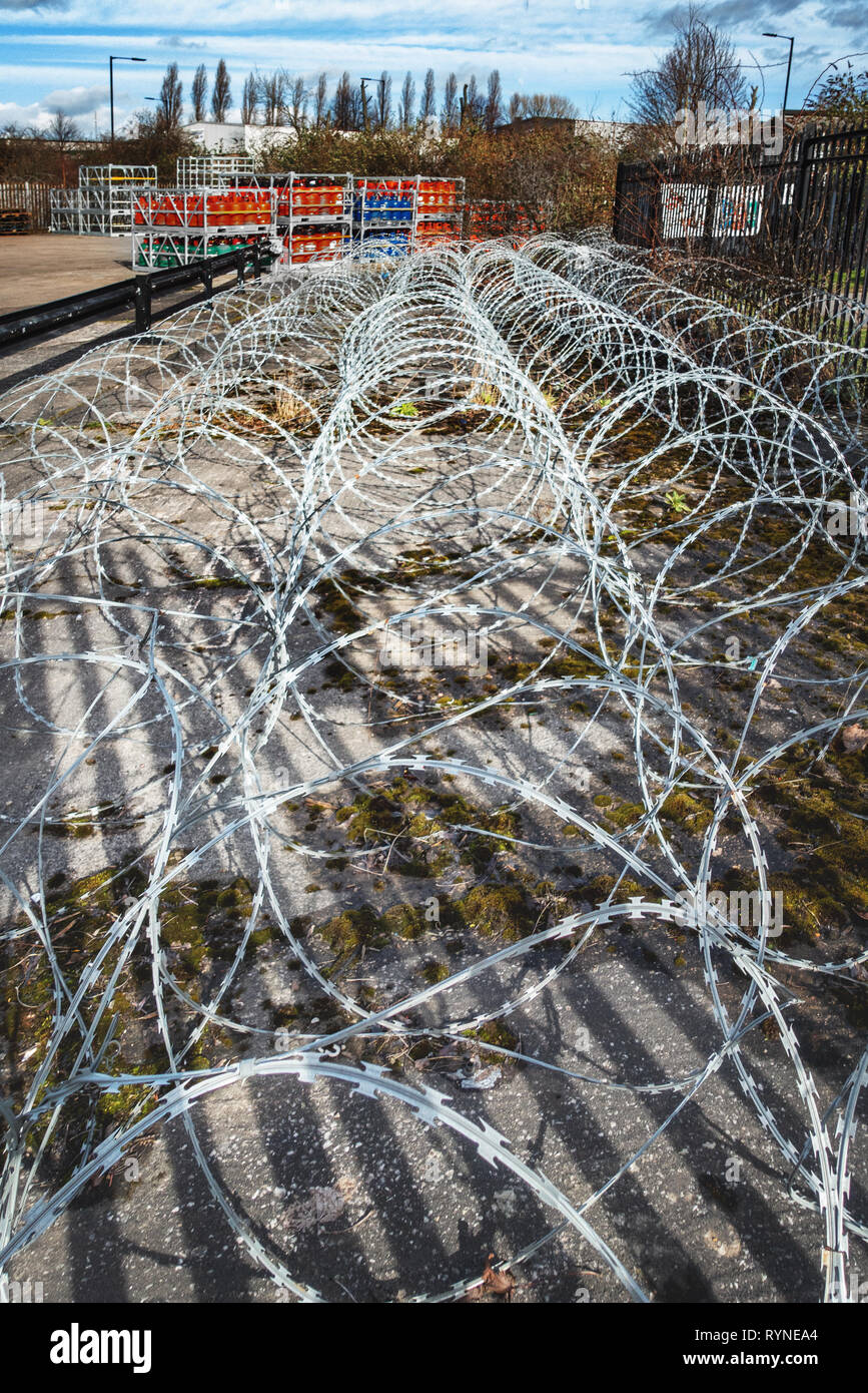 6 rows of very sharp high security razor barbed wire rolls laying on ...