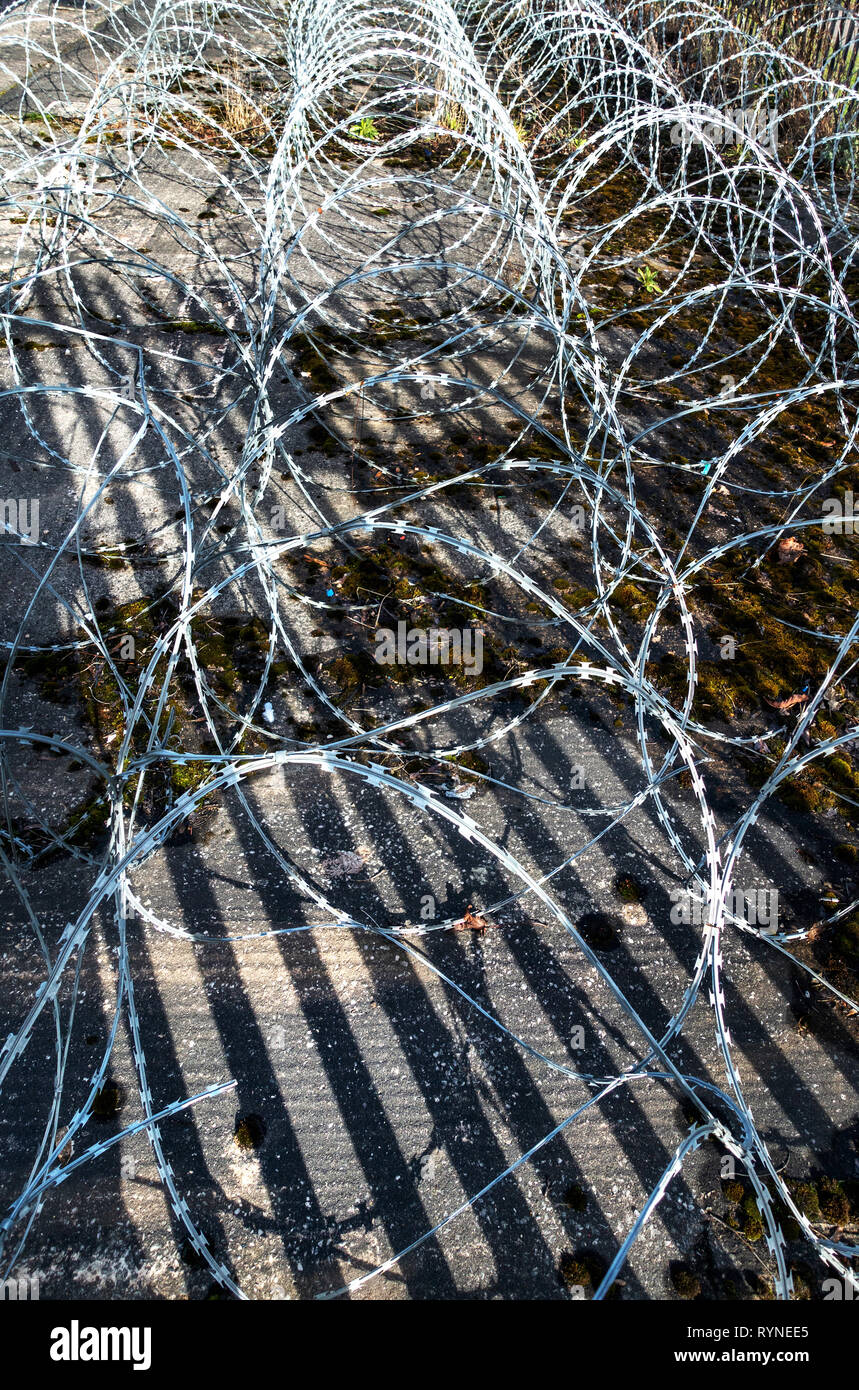 6 rows of very sharp high security razor barbed wire rolls laying on ...