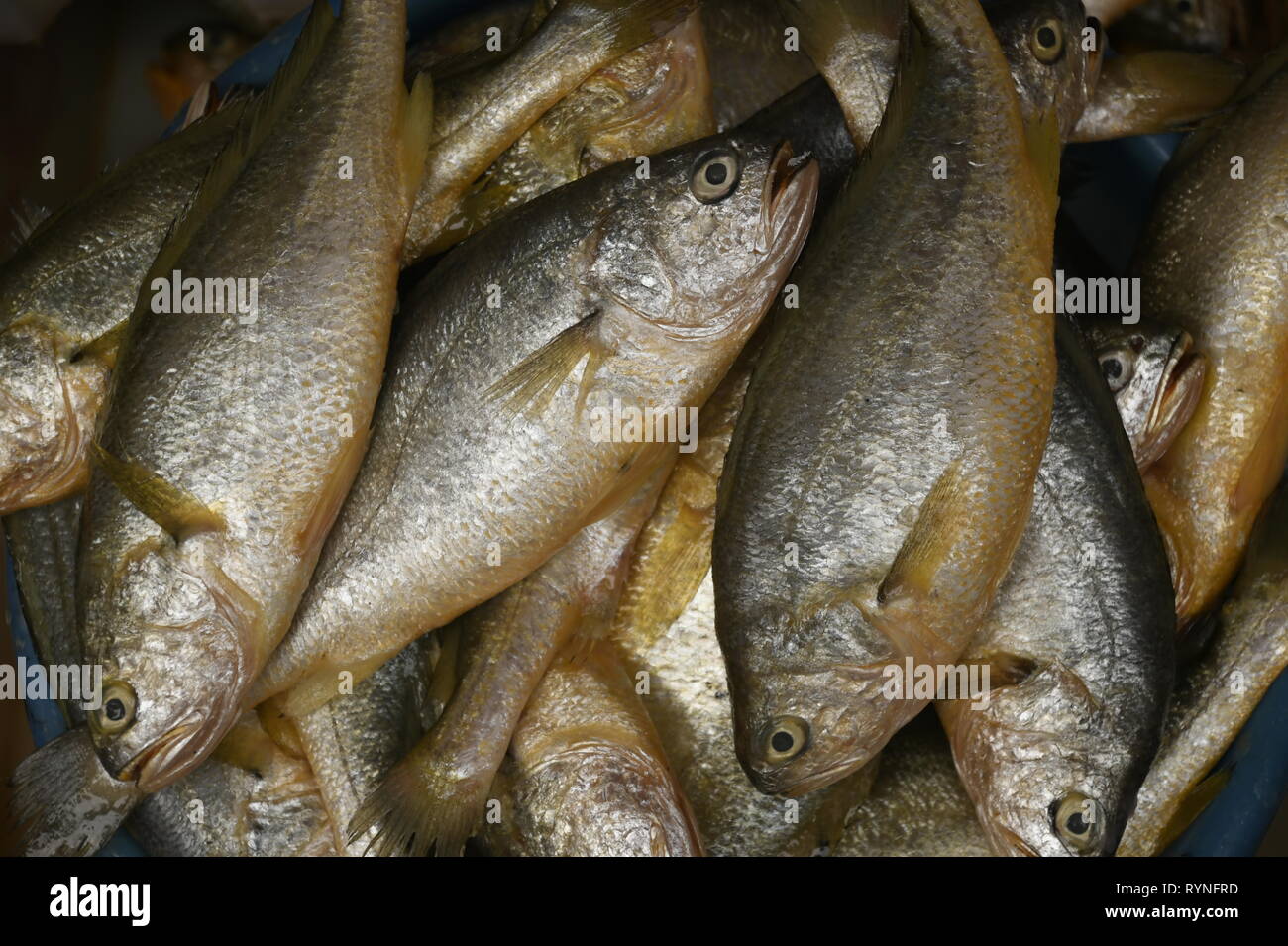 Fascination Shanghai - great fresh fish from the wetmarket Stock Photo ...