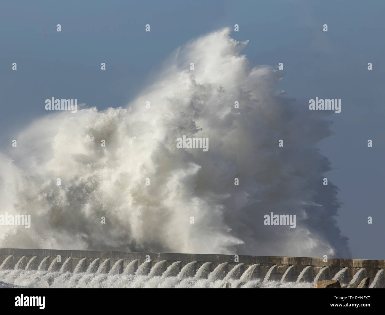 Huge sea wave splash in a stormy but clear day Stock Photo - Alamy