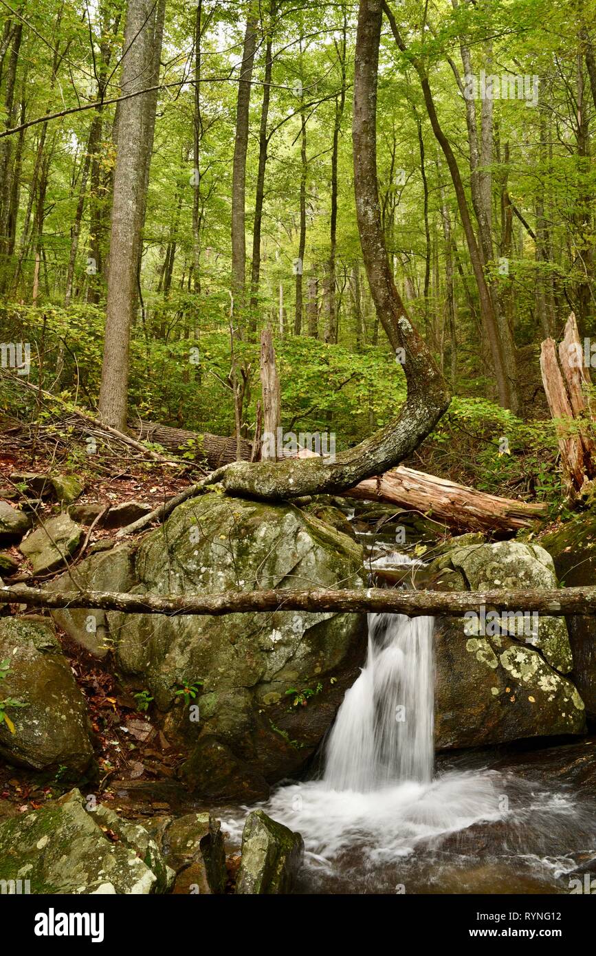 Black Mountain North Carolina To Asheville North Carolina at Rosa ...