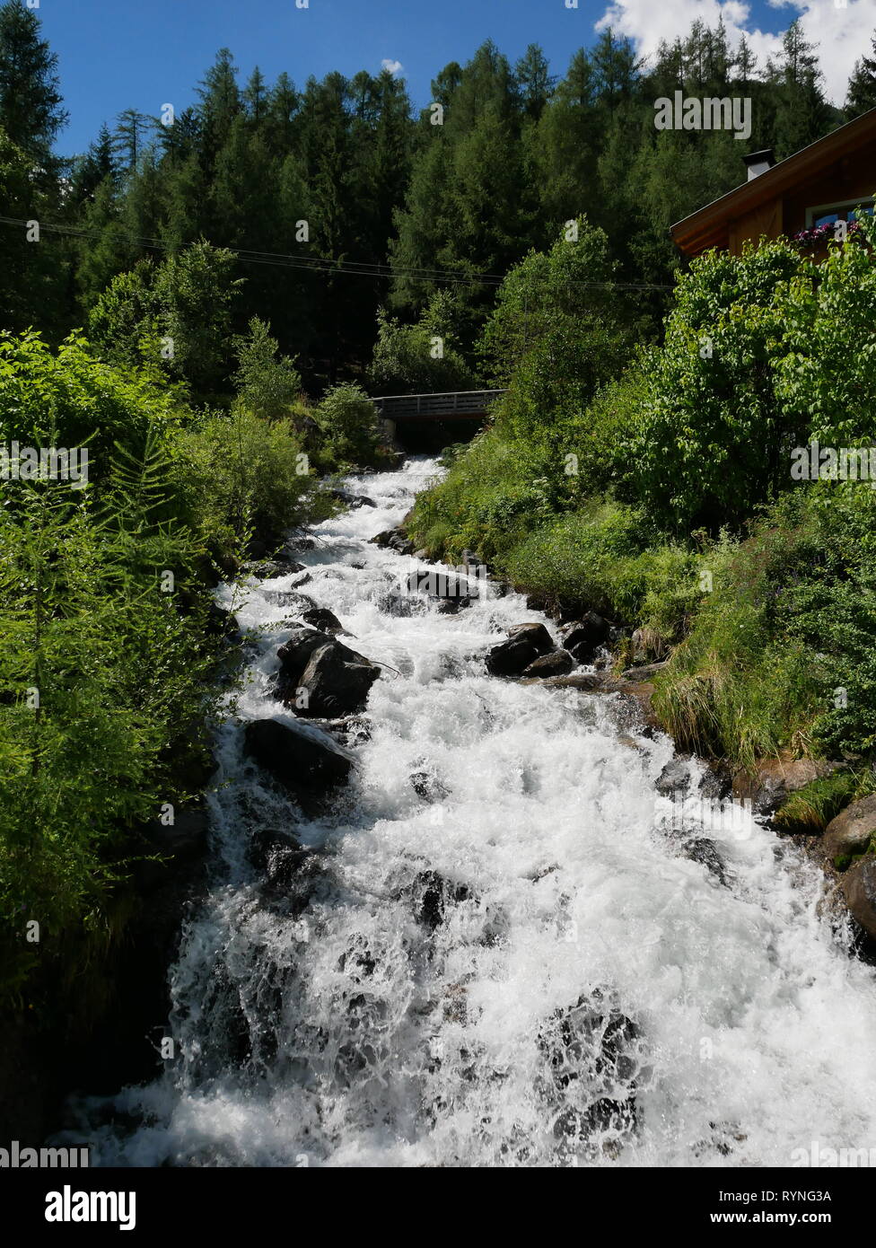 Fir trees in the alpine valley hi-res stock photography and images - Alamy