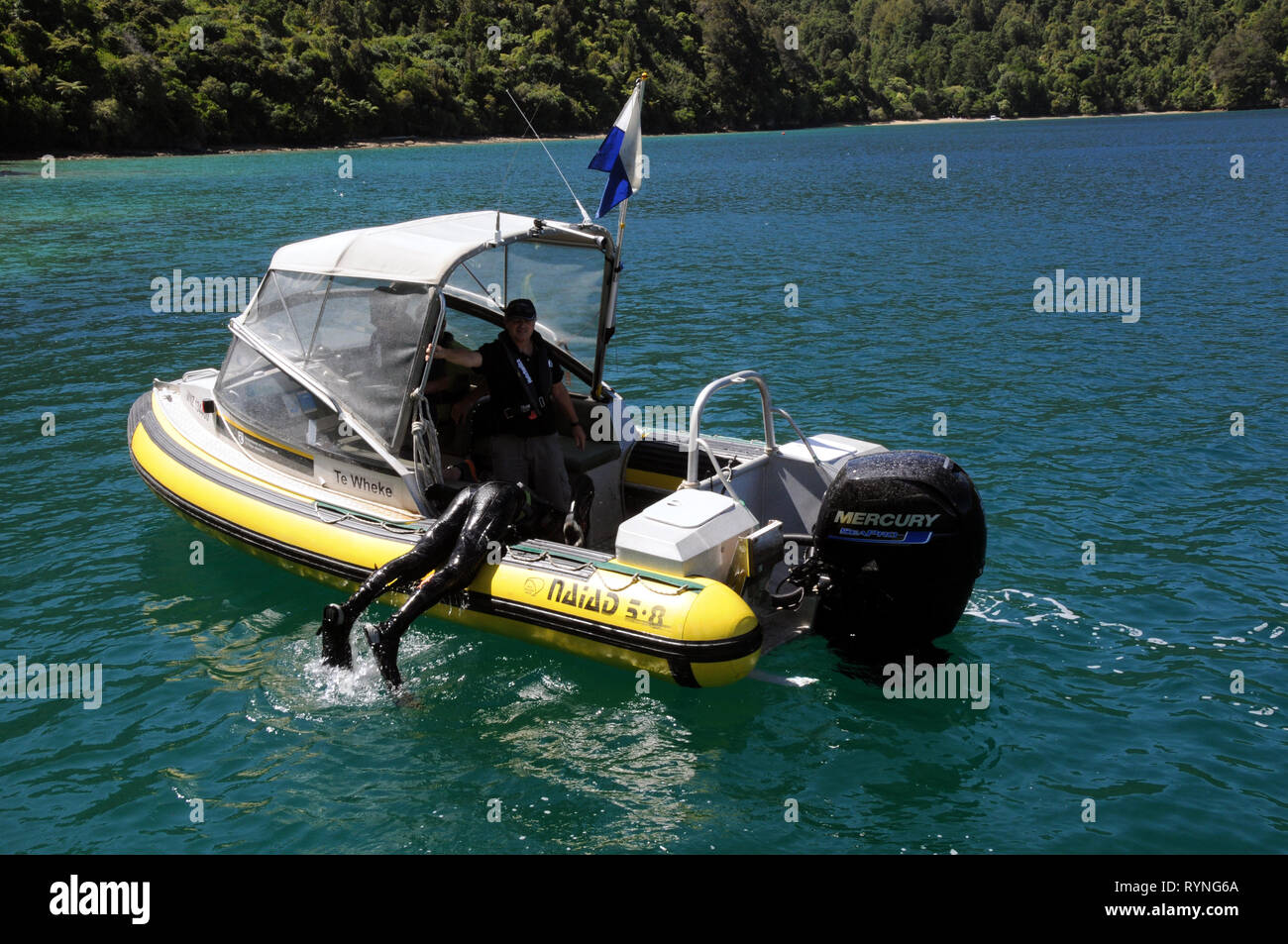 A RIB used by the Department of Conservation (DOC) on the Marlborough ...