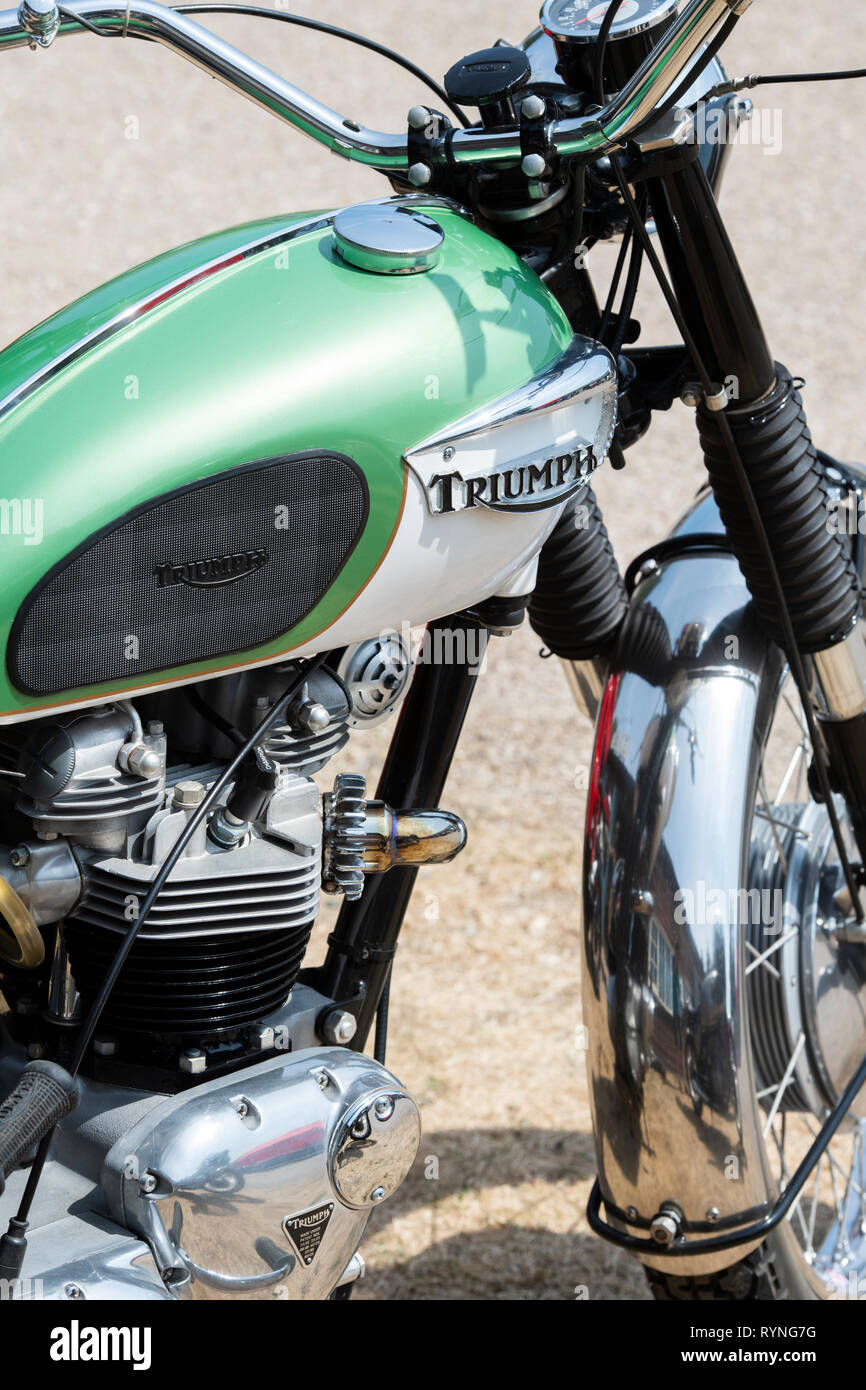 1966 Triumph TR6 Thunderbird 650cc motorcycle. Classic british ...