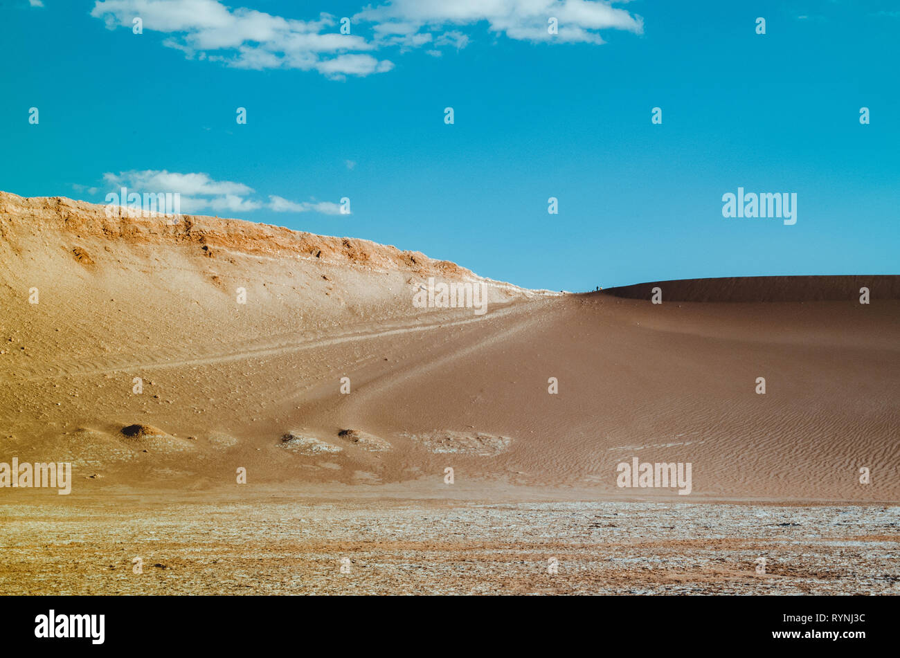 Atacama is the driest desert in the world hi-res stock photography and ...
