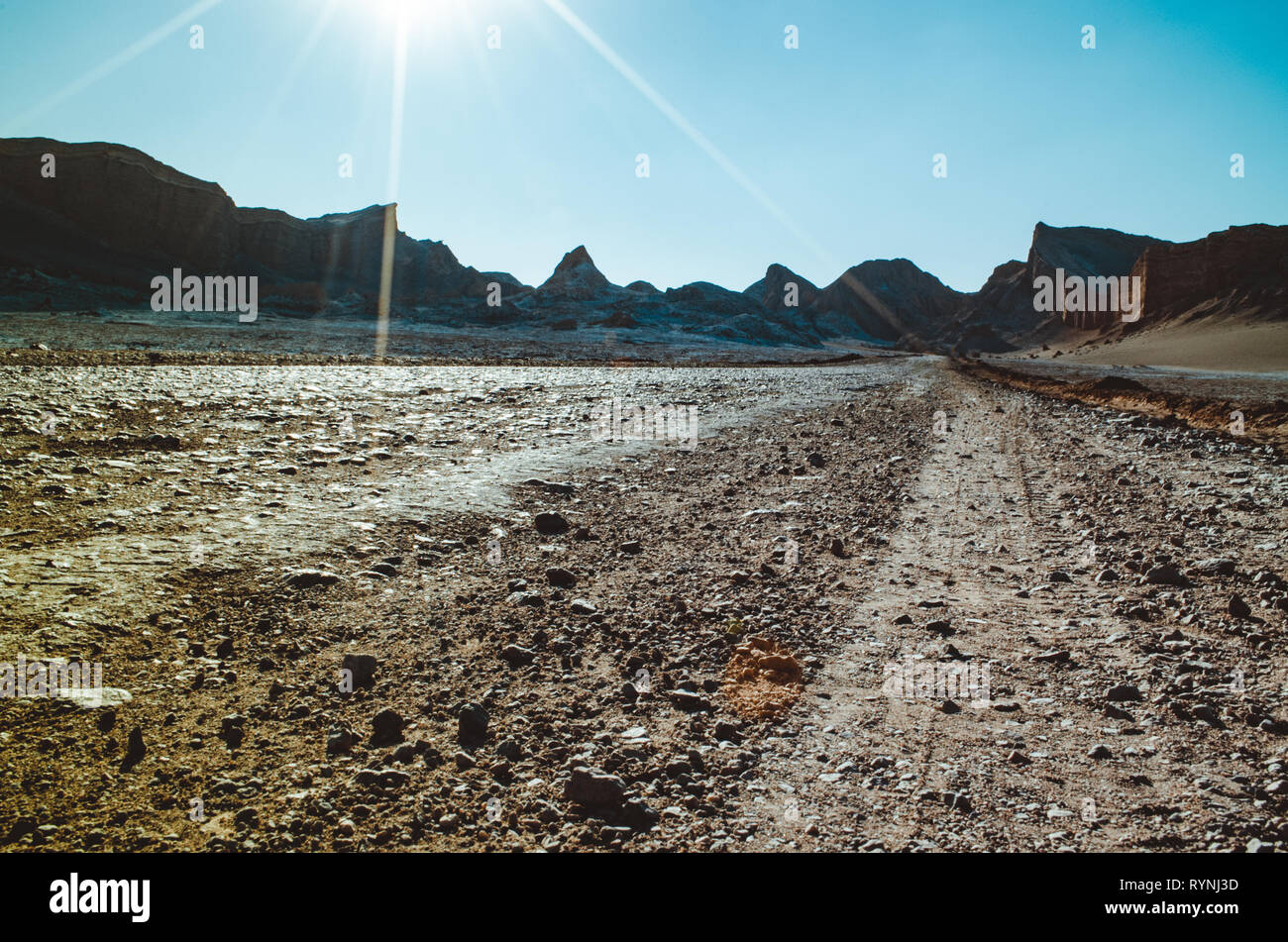 The Atacama desert is one of the driest places in the world, as well as ...