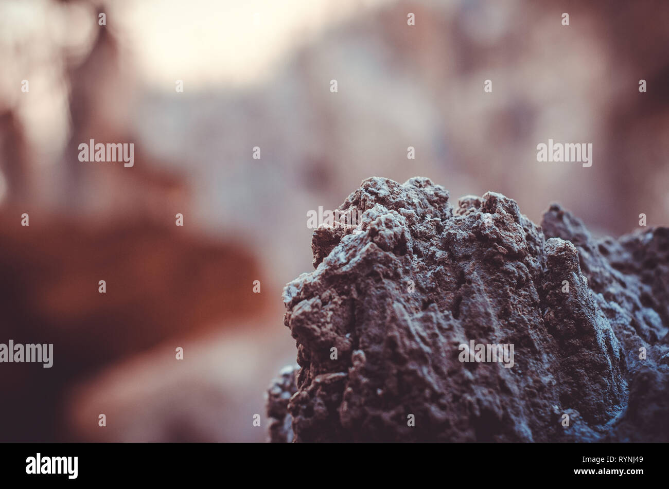 The Atacama desert is one of the driest places in the world, as well as ...