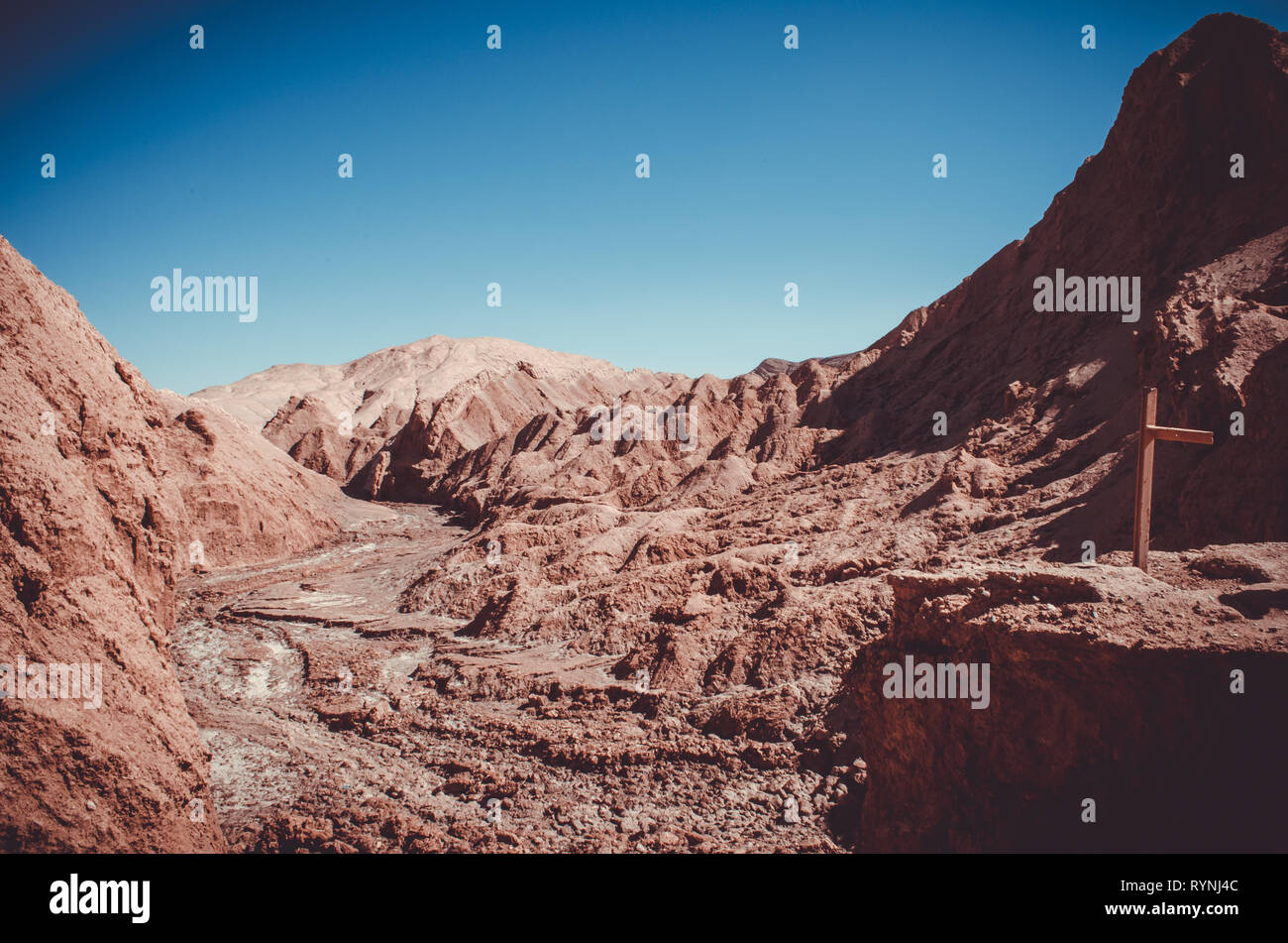 The Atacama desert is one of the driest places in the world, as well as ...
