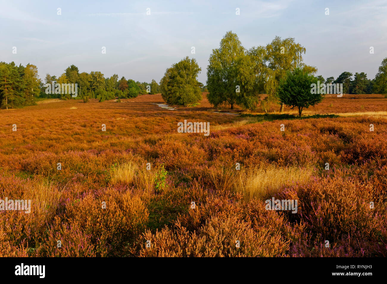 Fassberg hi-res stock photography and images - Alamy
