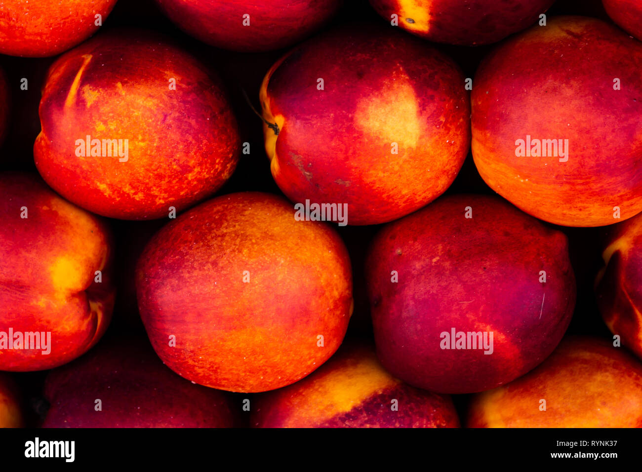 Close view of several ripe peaches of vibrant colors. Symmetric pattern ...