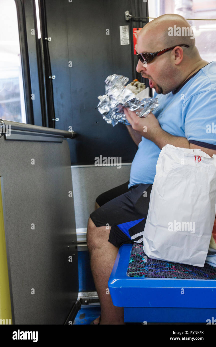 Miami Beach Florida,Metrobus,South Beach Local,public transportation ...