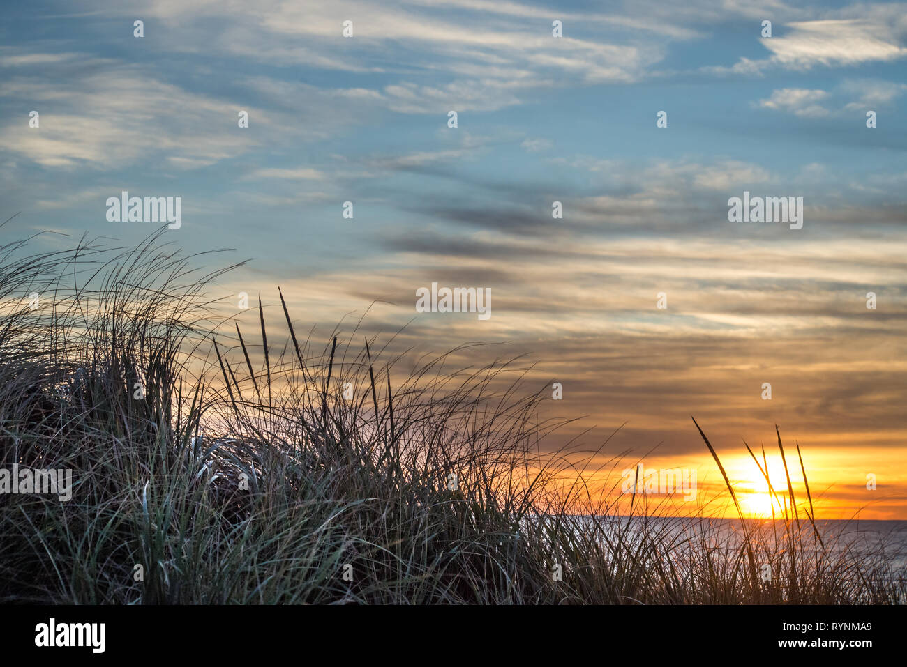 Rockway High Resolution Stock Photography and Images - Alamy