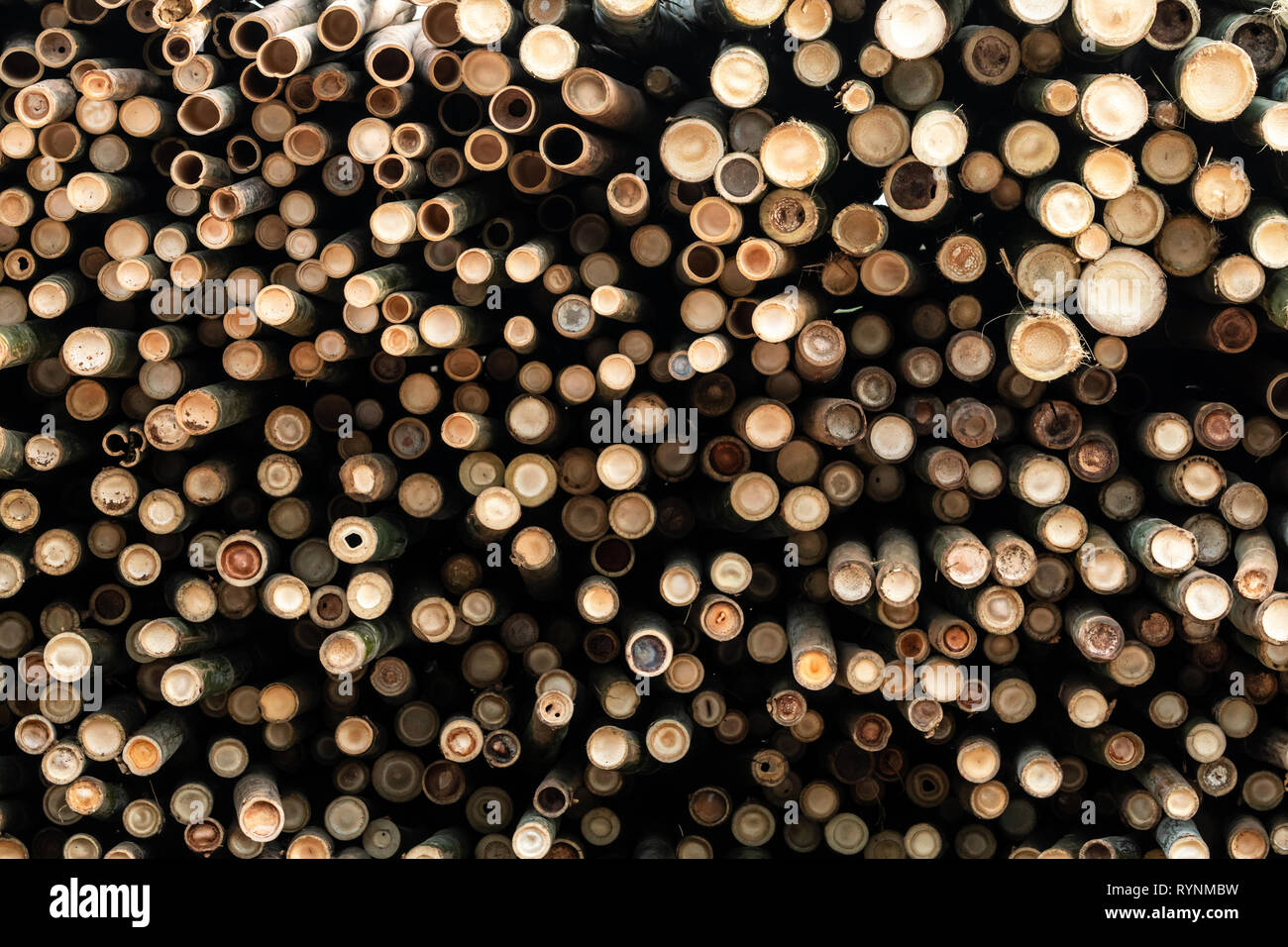 Pile of bamboo pole. Stack of round timber logs. Large batch of wooden ...