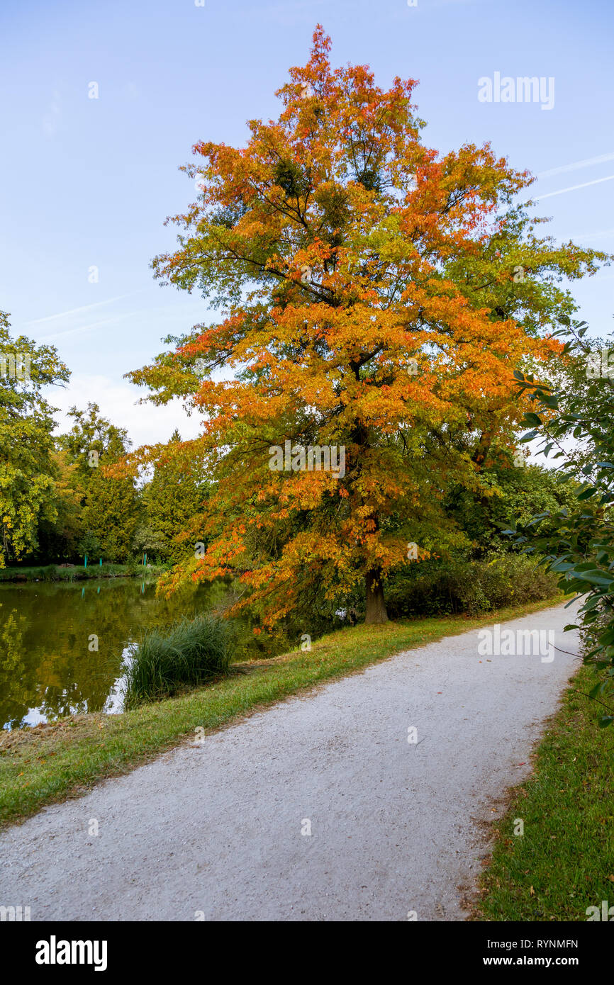 Lednice castle with monumental garden English park. Cultural landscape ...