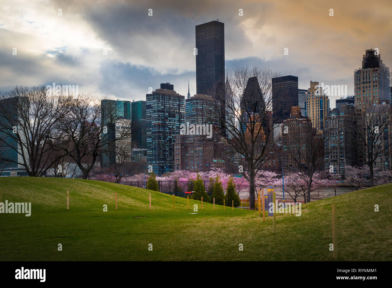 Cherry blossoms new york city hi-res stock photography and images - Alamy