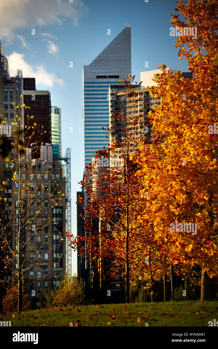 Fall Foliage with Manhattan Landscape Stock Photo - Alamy