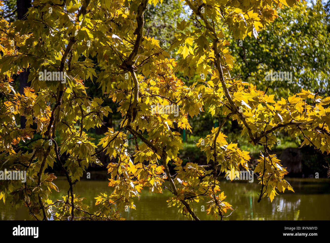Lednice castle with monumental garden English park. Cultural landscape ...