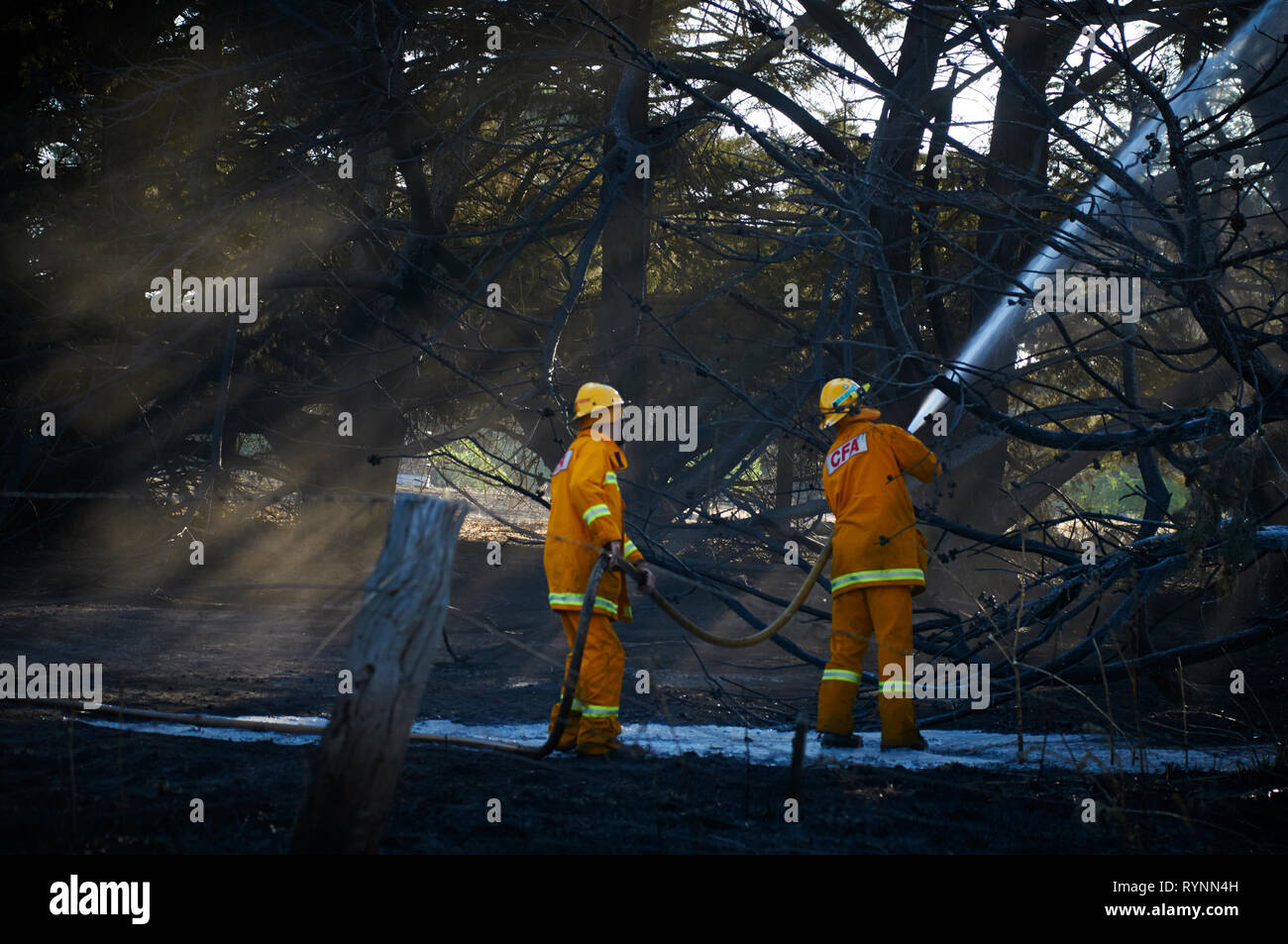 January 11, 2013 - Victoria, Australia : Bush and grass fires on ...