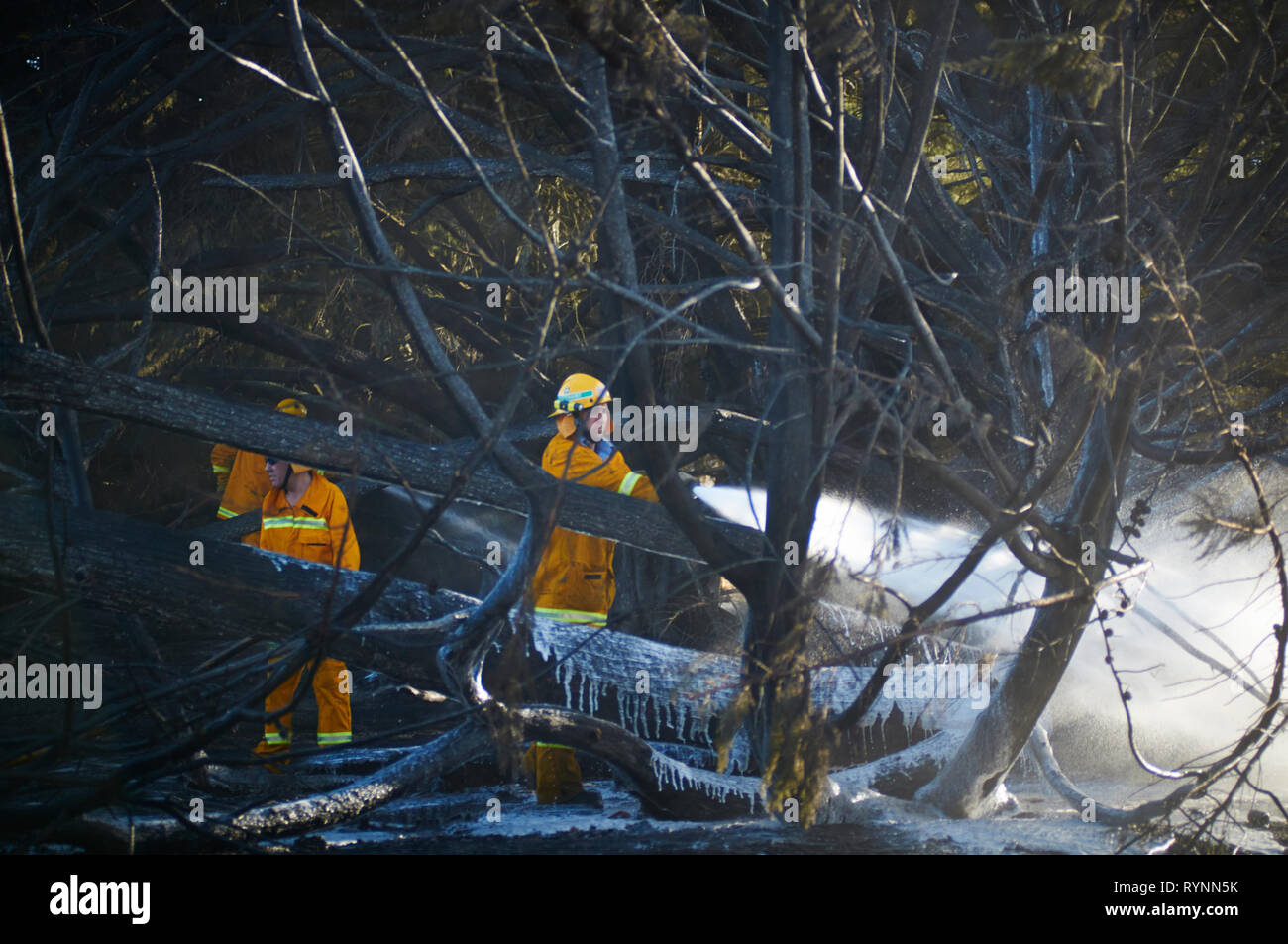 January 11, 2013 - Victoria, Australia : Bush and grass fires on ...