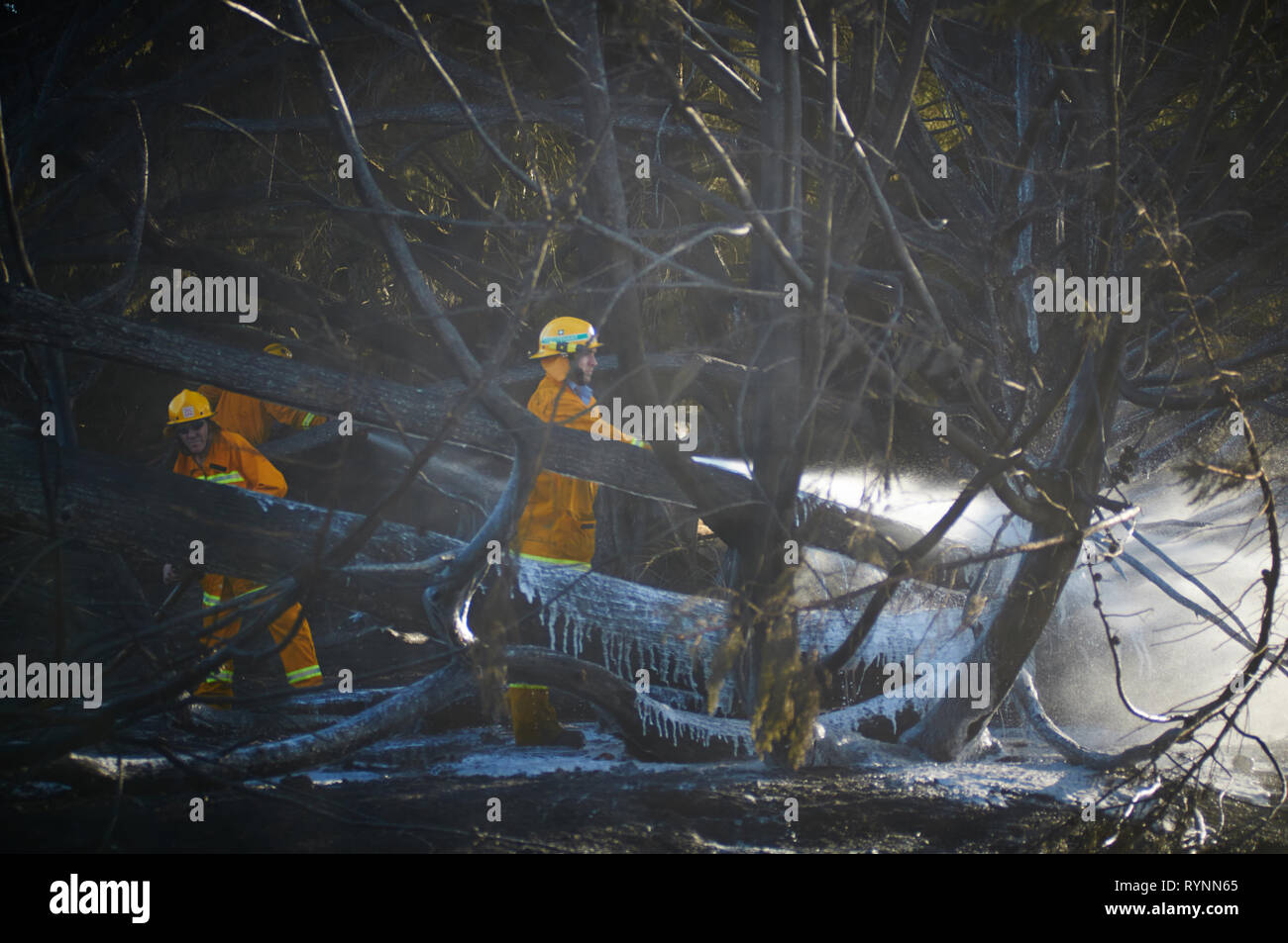 January 11, 2013 - Victoria, Australia : Bush and grass fires on ...