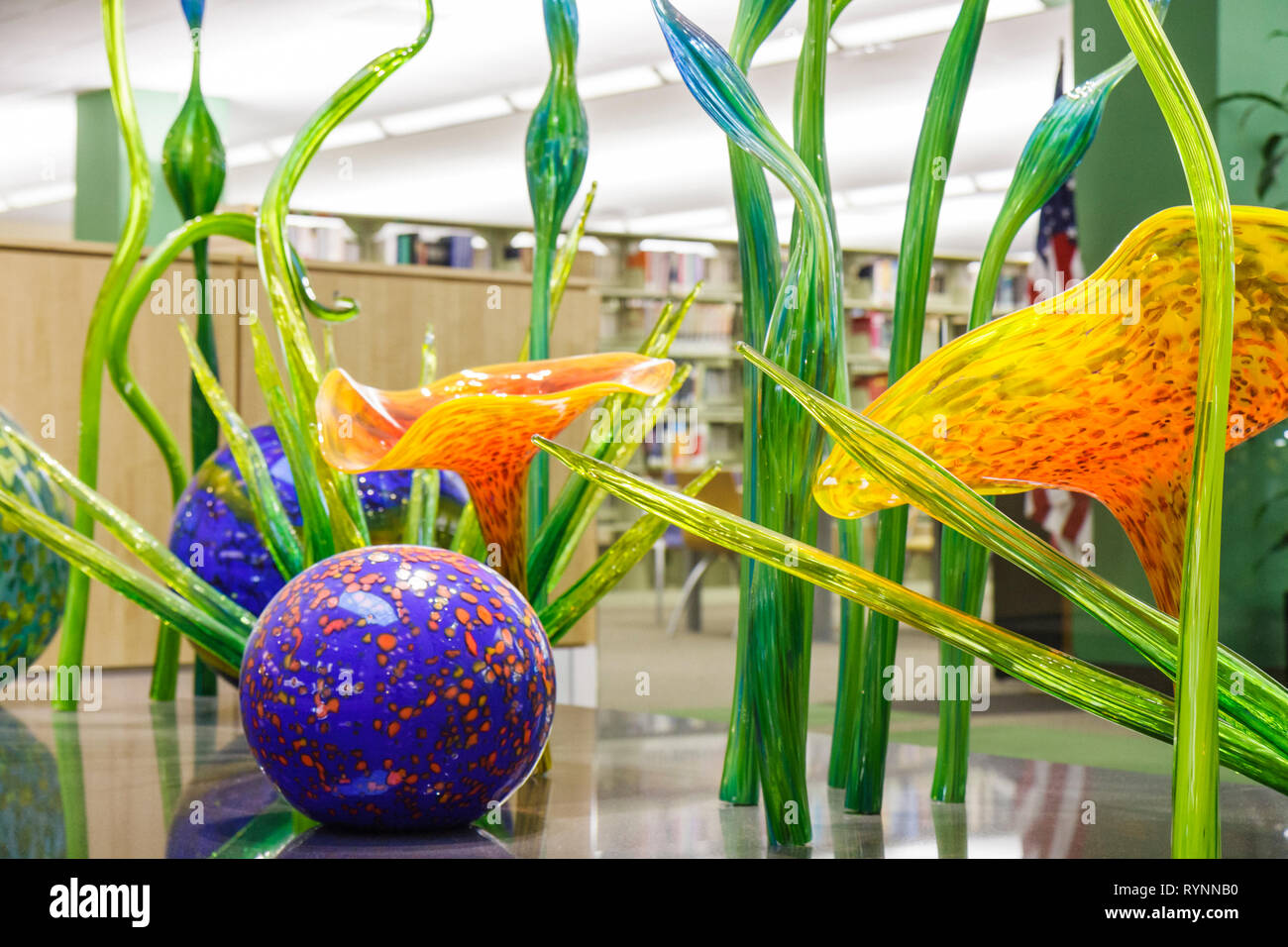 Florida Davie,Nova Southeastern University,Alvin Sherman Library,campus ...