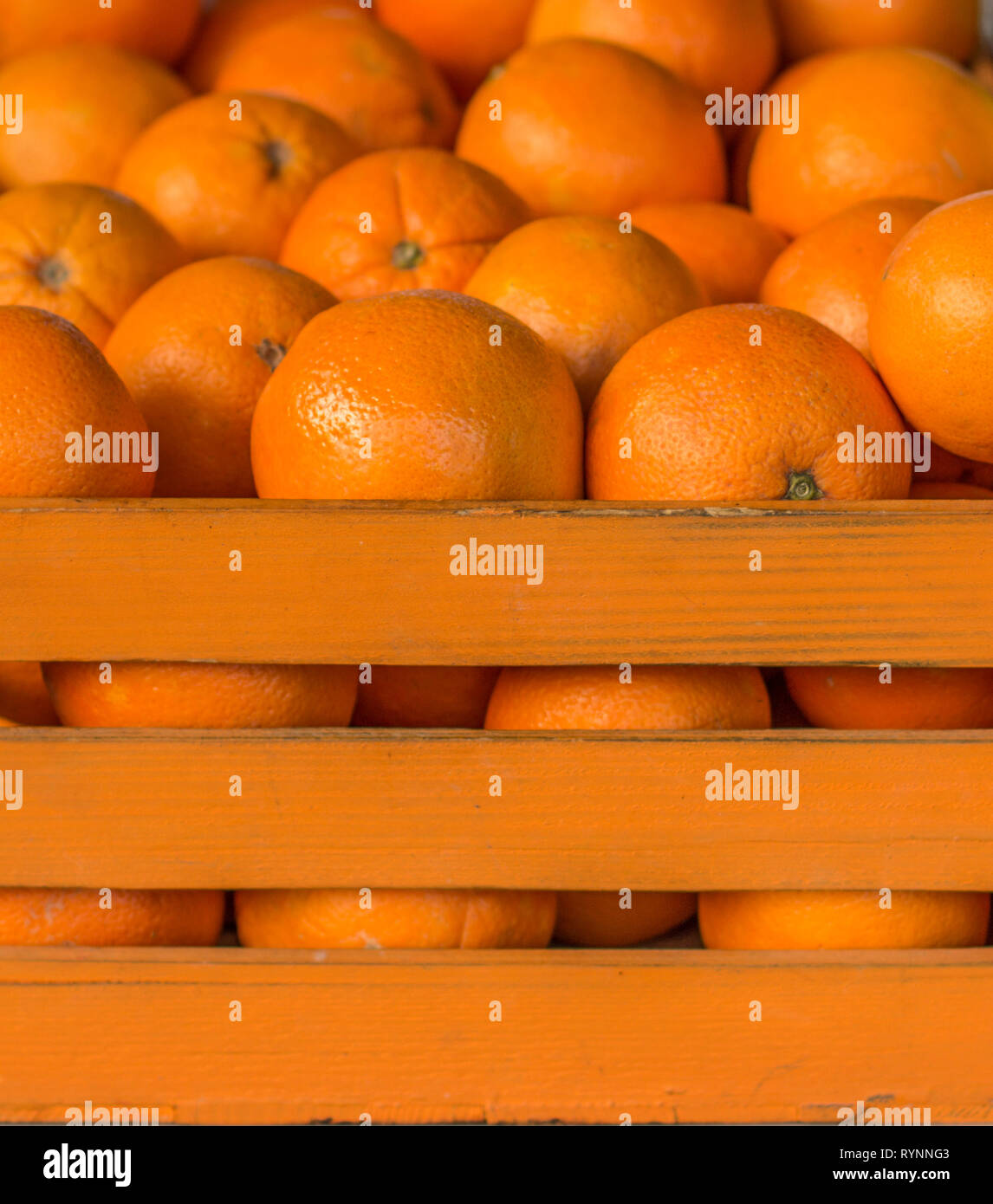Cage full of oranges. Oranges in the orange crate Stock Photo - Alamy