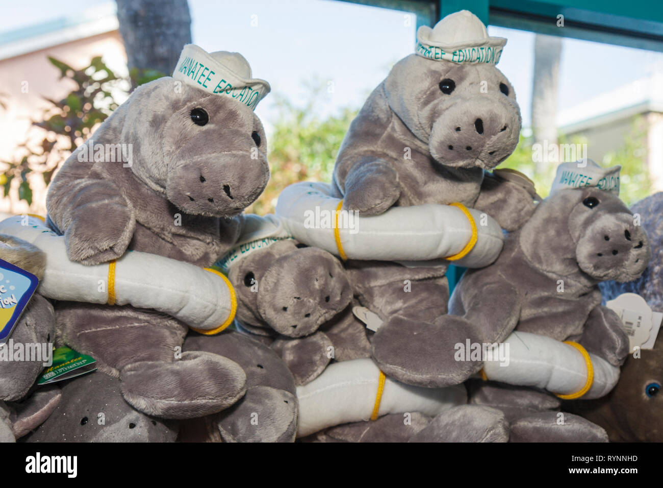 Manatee observation and education center hi-res stock photography and ...
