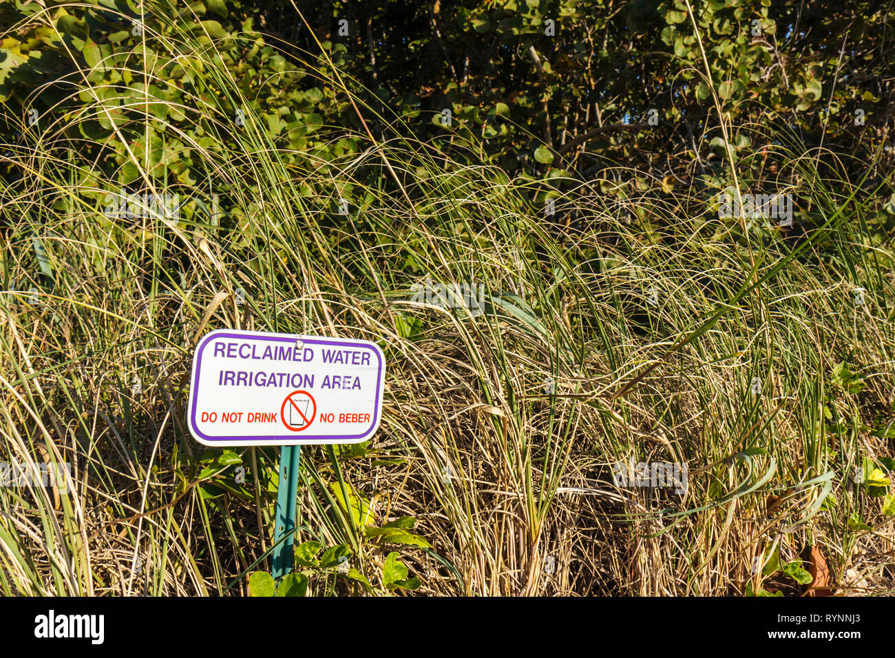 Florida Saint St. Lucie County,Fort Ft. Pierce,A1A,North Hutchinson ...