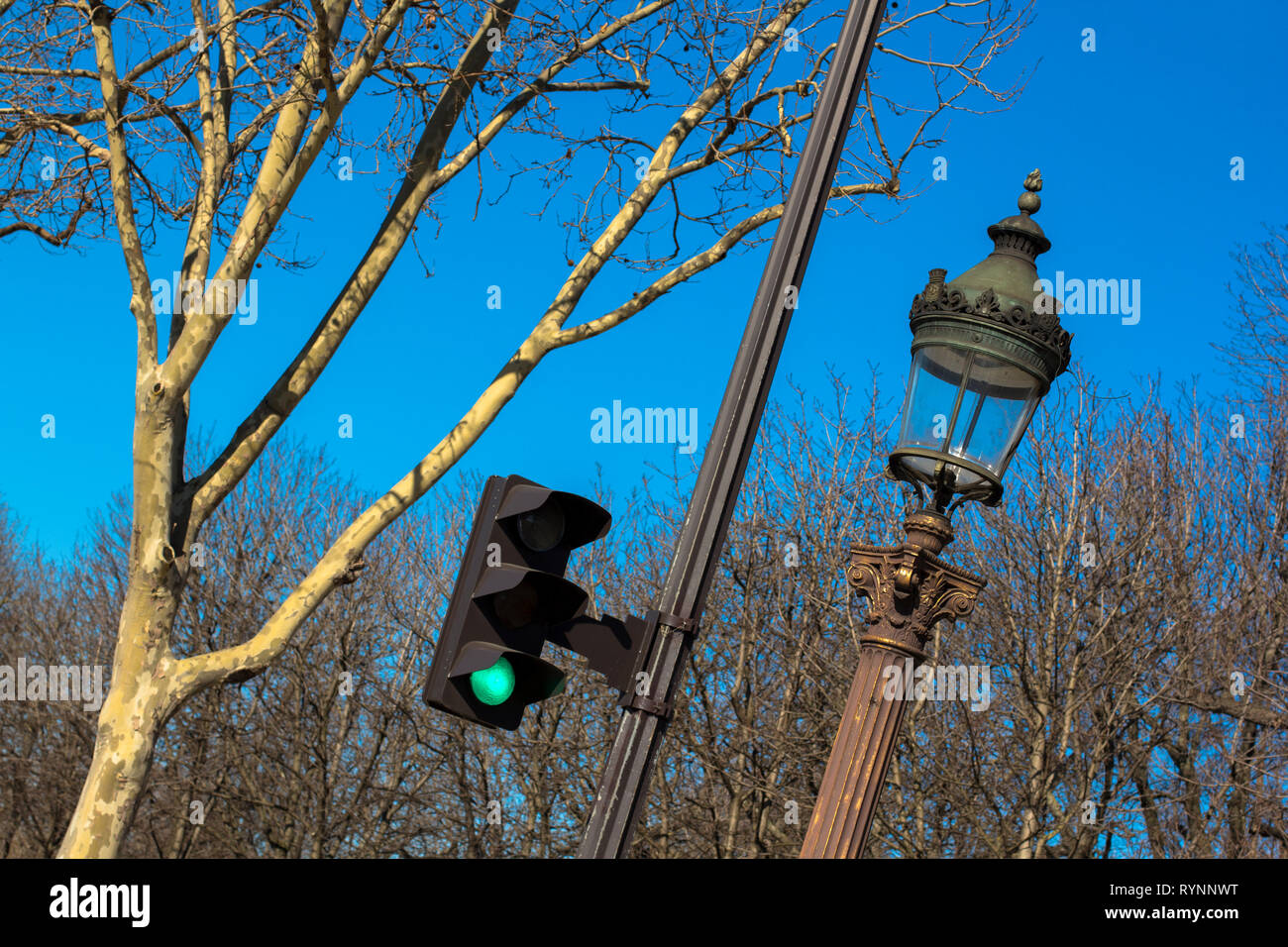 traffic light, lantern, tree against the blue sky in spring in Paris ...