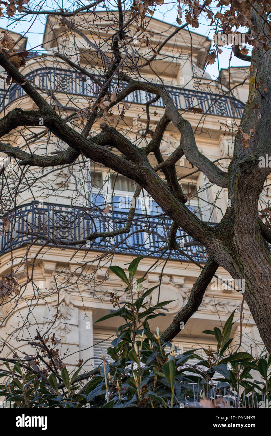 tree against the building with balconies Stock Photo - Alamy