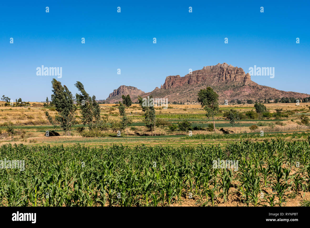 Abraha hi-res stock photography and images - Alamy