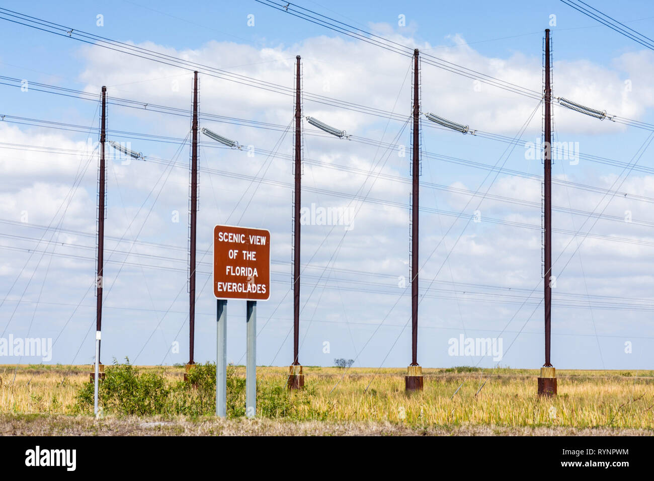Florida Collier County,Everglades,Big Cypress National Preserve ...