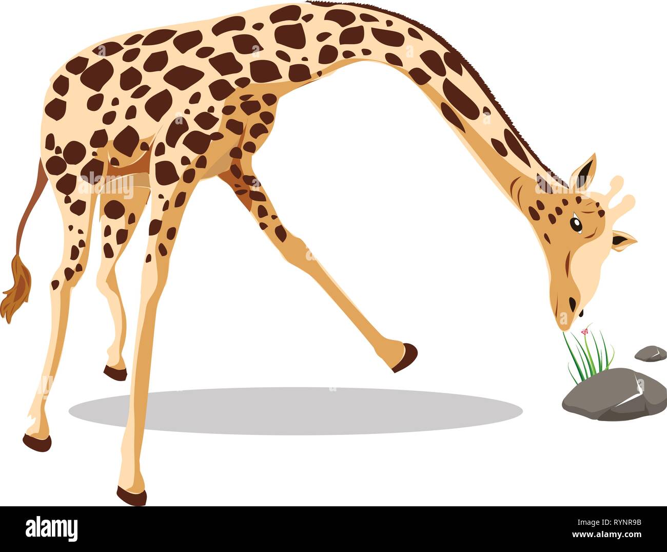Cute giraffe vector illustration isolated on white background Stock ...