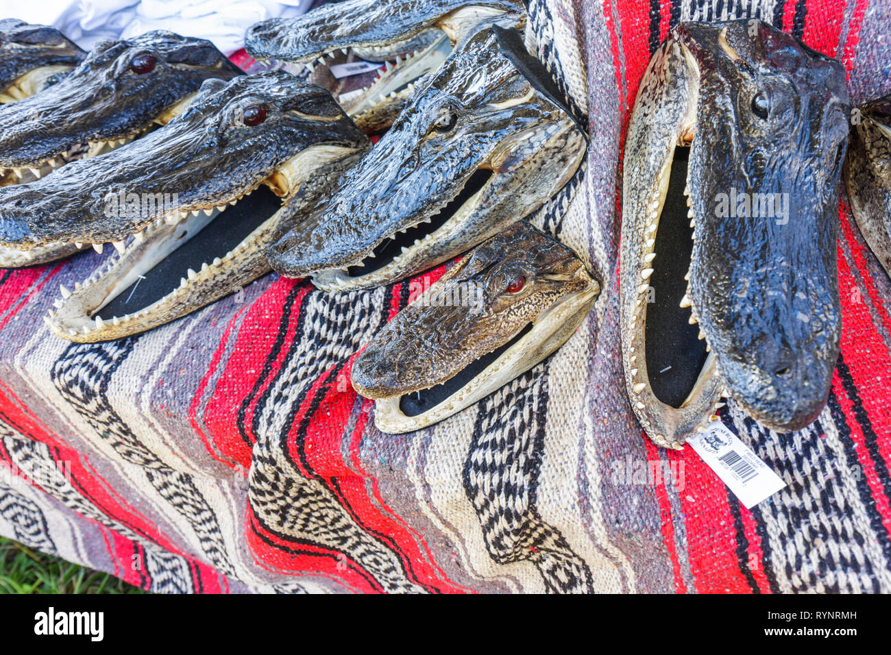 Native indian indigenous peoples stall stalls booth vendor vendors hi ...