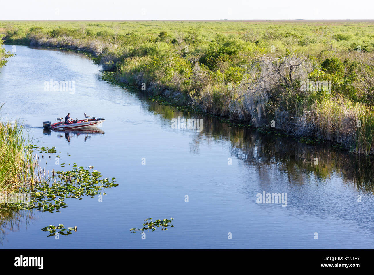 Florida Collier County,Everglades,Big Cypress National Preserve ...