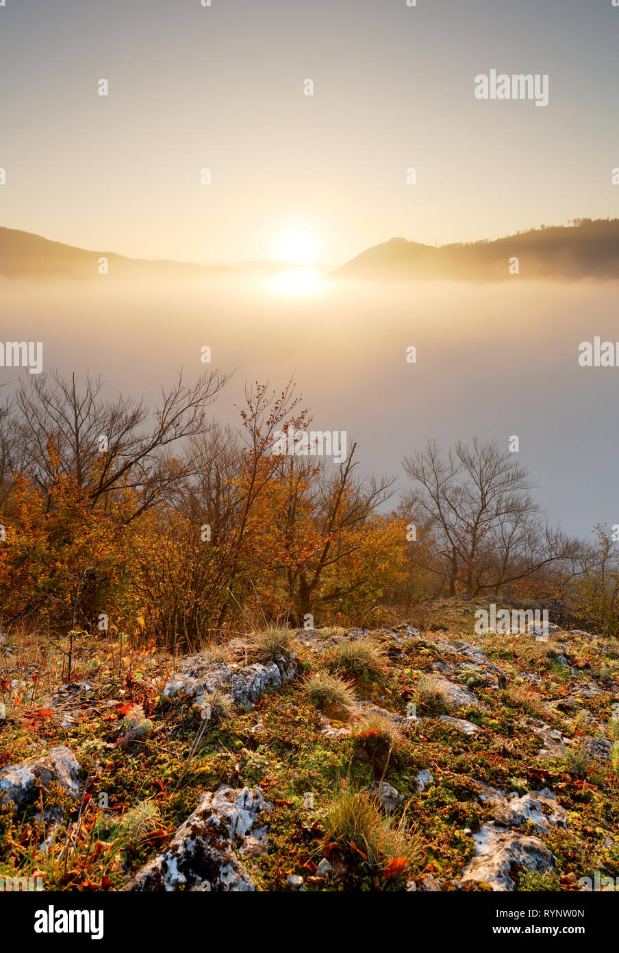 Vertical landcape hi-res stock photography and images - Alamy