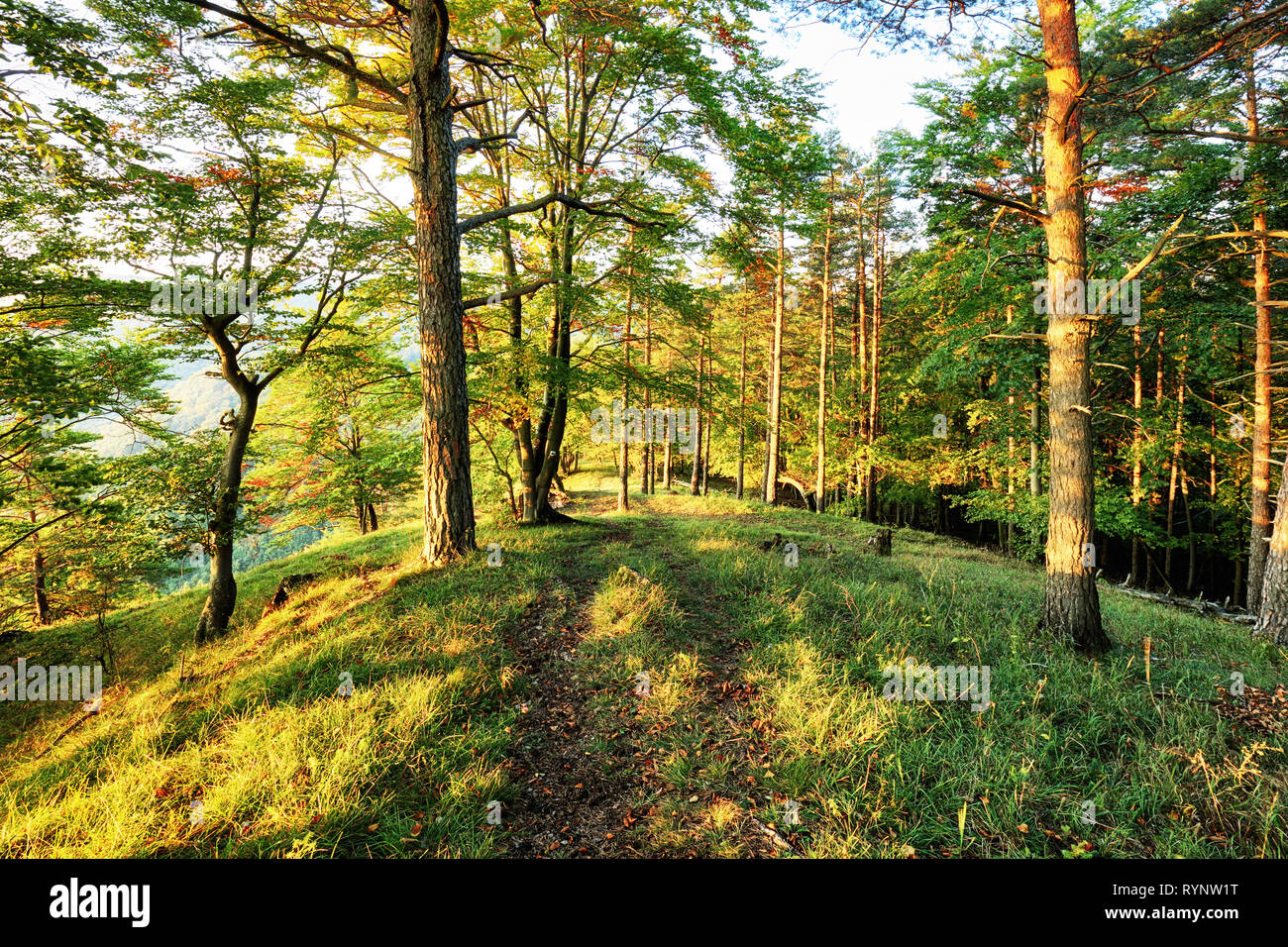 Rural landscape in early morning hi-res stock photography and images ...