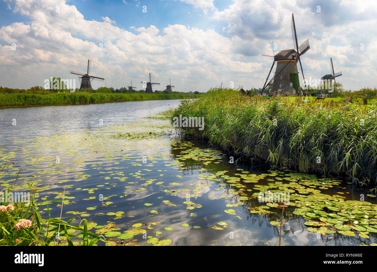 Beautiful dutch windmill landscape at Kinderdijk in the Netherlands ...