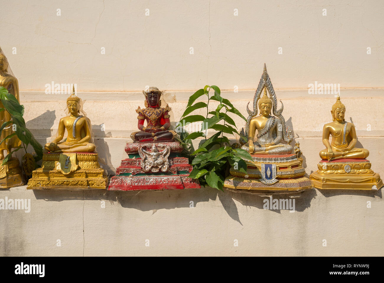 Buddha under tree hi-res stock photography and images - Alamy