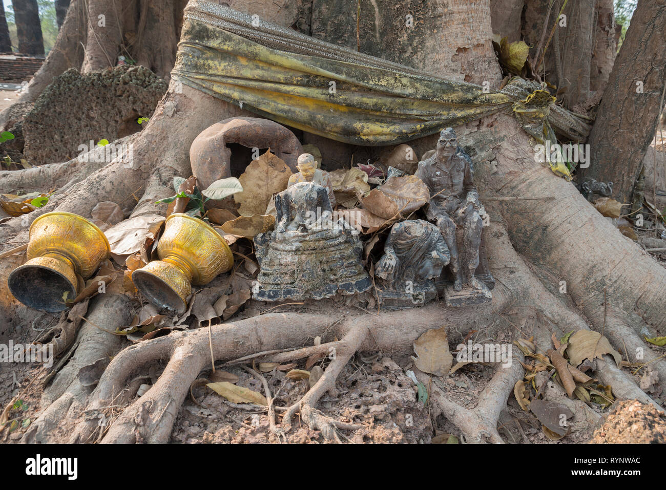 Offerings to Buddha under tree Stock Photo - Alamy
