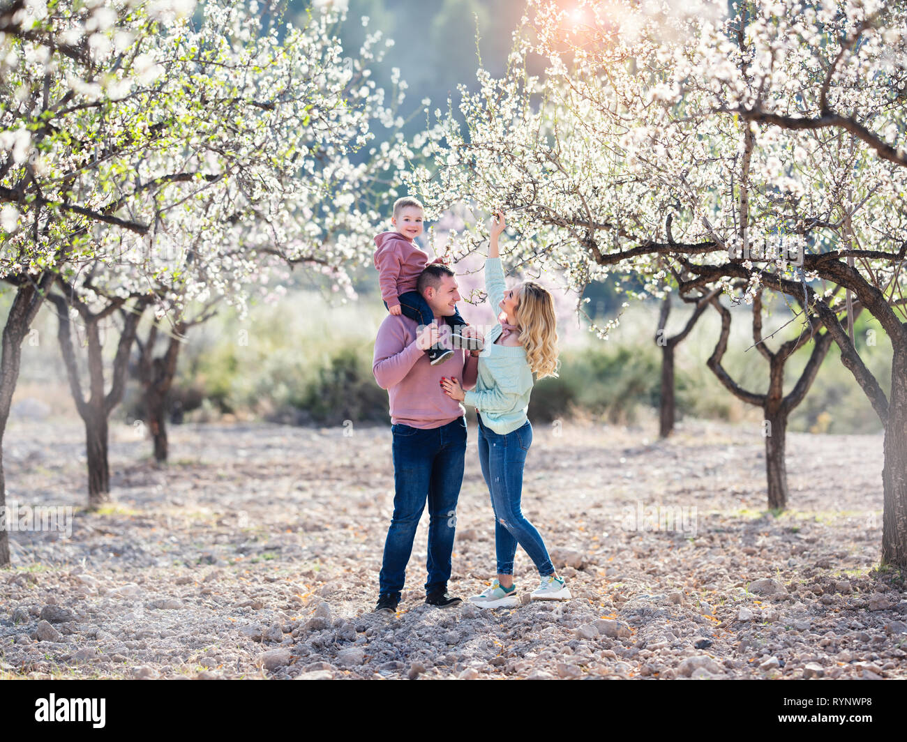 Happy beautiful family walks in blooming gardens Stock Photo - Alamy