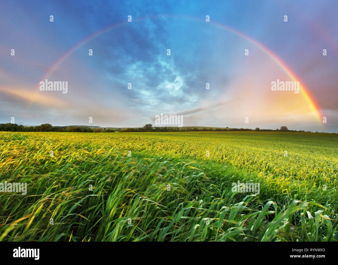 Rainbows over farm hi-res stock photography and images - Alamy