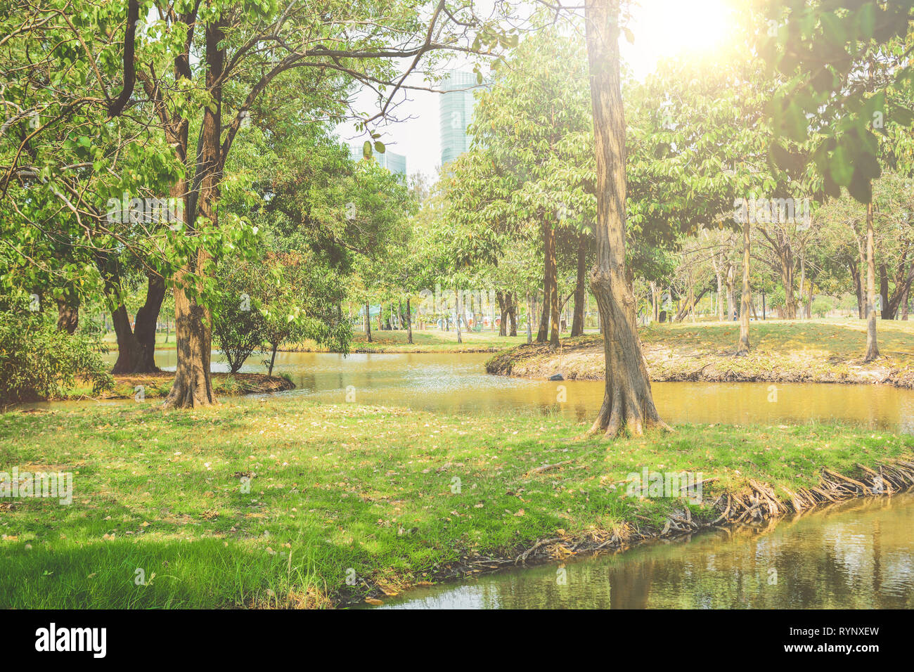 Public park with trees , river and sky background in city.Beautiful ...