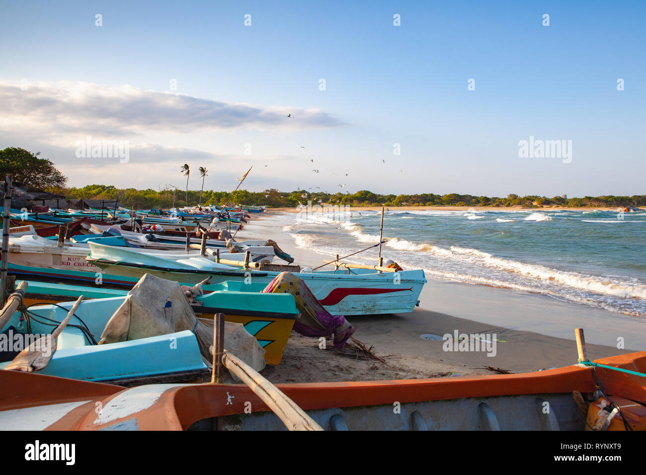 Yala national park beach hi-res stock photography and images - Alamy